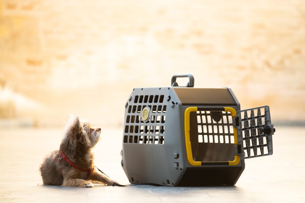 Care² - Dog Safety Products