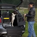 The New MIM Safe VarioGate System (VarioGate Double) - Dog Safety Products