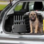 MIM Safe Variocage Single - Dog Safety Products