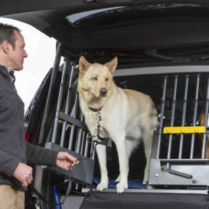 The New MIM Safe VarioGate System (VarioGate Double) - Dog Safety Products